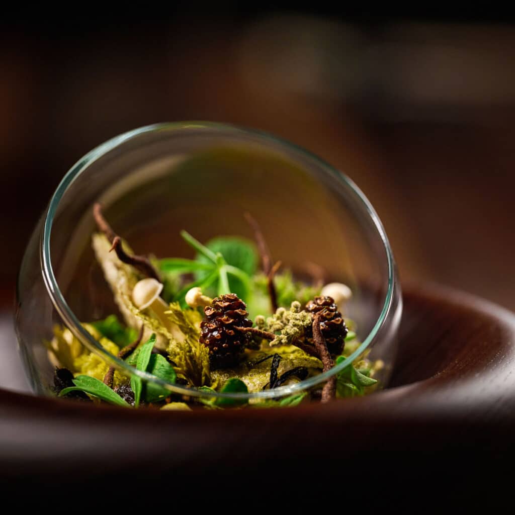 MOYA Restaurant - Naturküche in moderner Interpretation