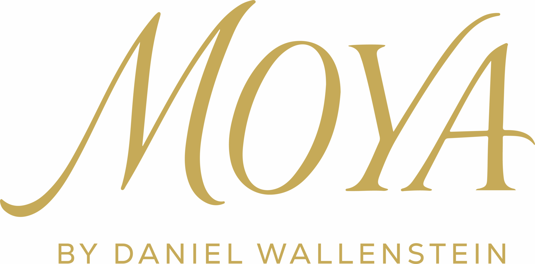 MOYA Restaurant - Naturküche in moderner Interpretation